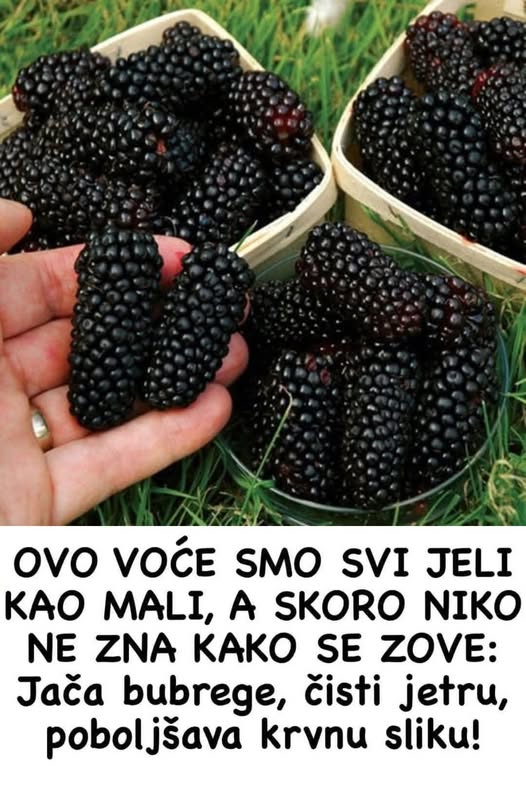 OVO VOĆE SMO SVI JELI KAO MALI, A SKORO NIKO NE ZNA KAKO SE ZOVE: Jača ...