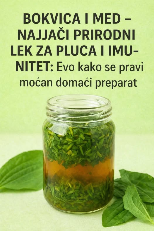BOKVICA I MED – NAJJAČI PRIRODNI LEK ZA PLUĆA I IMUNITET: Evo kako se ...